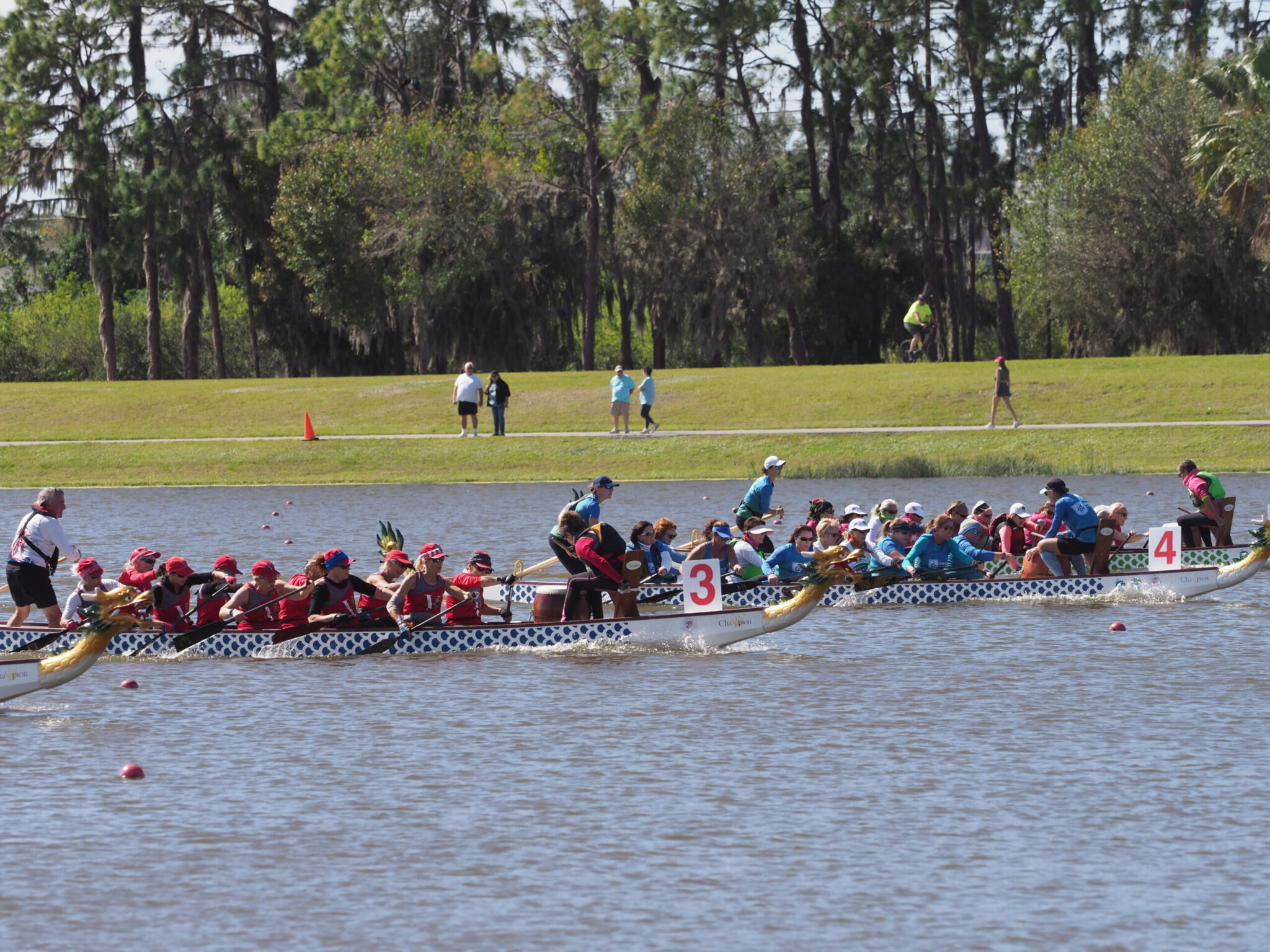 Cape Coral Dragon Boat Club Marks 20 Years on the Water… Launches New ...